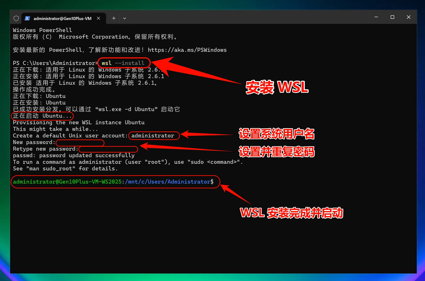 OpenAI Codex CLI | New API